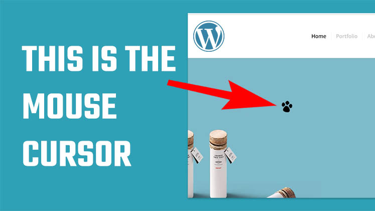 Use custom Cursor on WordPress | 2023